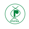 PPVFRA Jobs 2023 - Apply for 07 Consultant & Deputy Registrar Posts